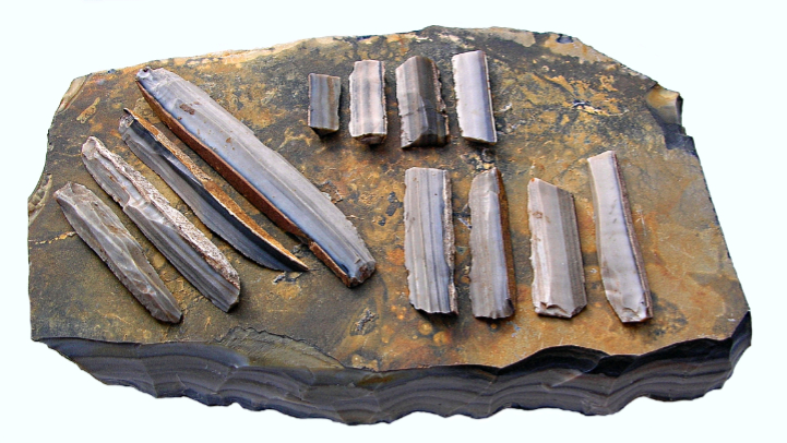 Das älteste Geld der Welt? | Nachricht @ Archäologie Online