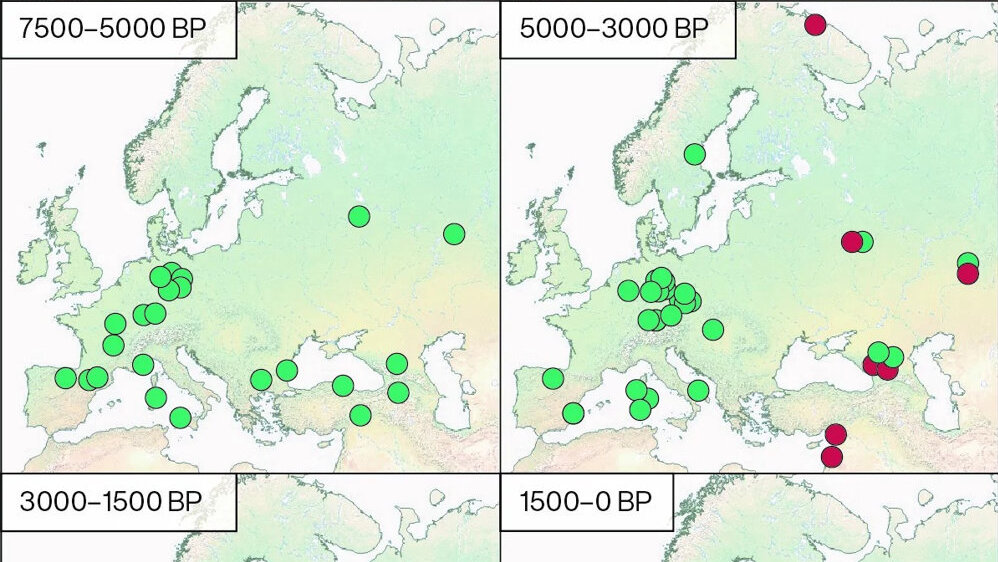 Zehntausend Jahre Evolution des Hepatitis-B-Virus | Nachricht ...