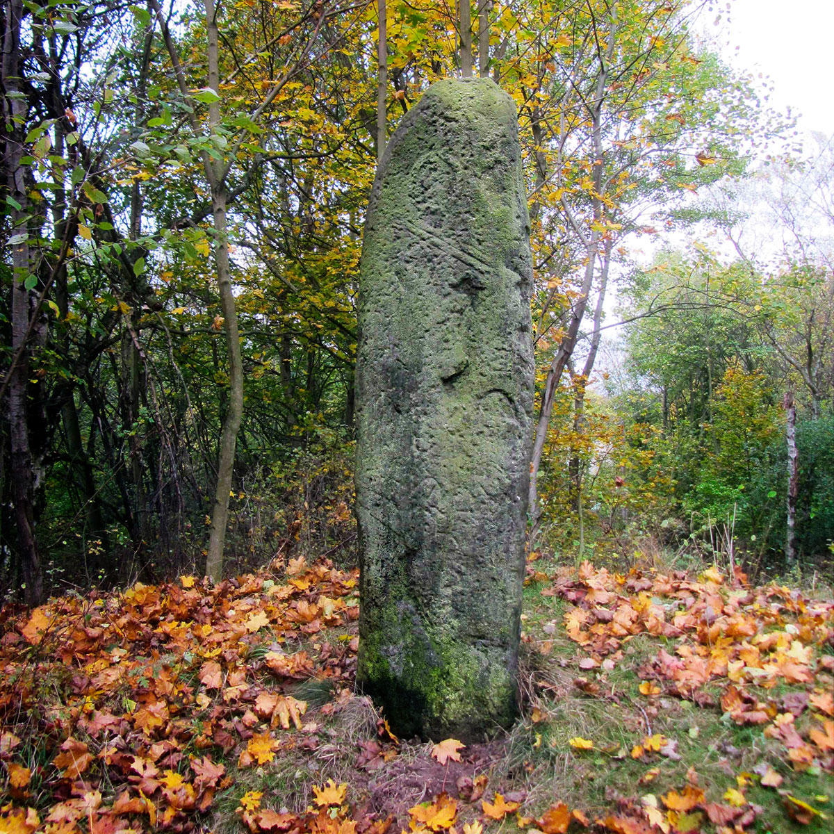 Der ›Lange Stein‹ von Seehausen endlich geschützt und durch eine Kopie ...